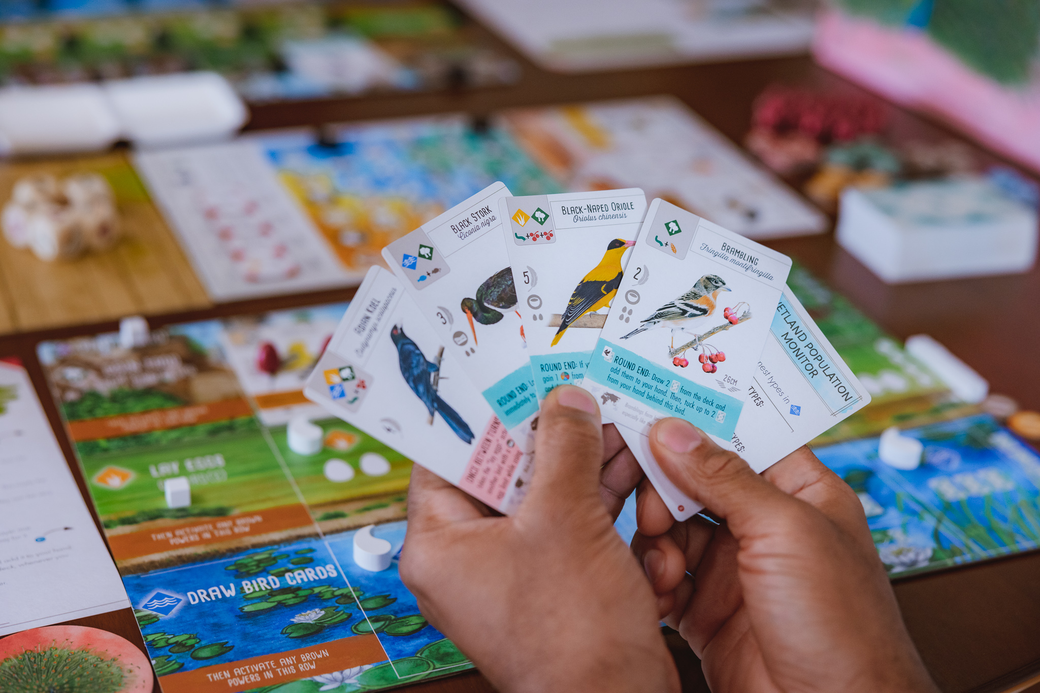 Wingspan Asia - KuPlay Board Game Online Store