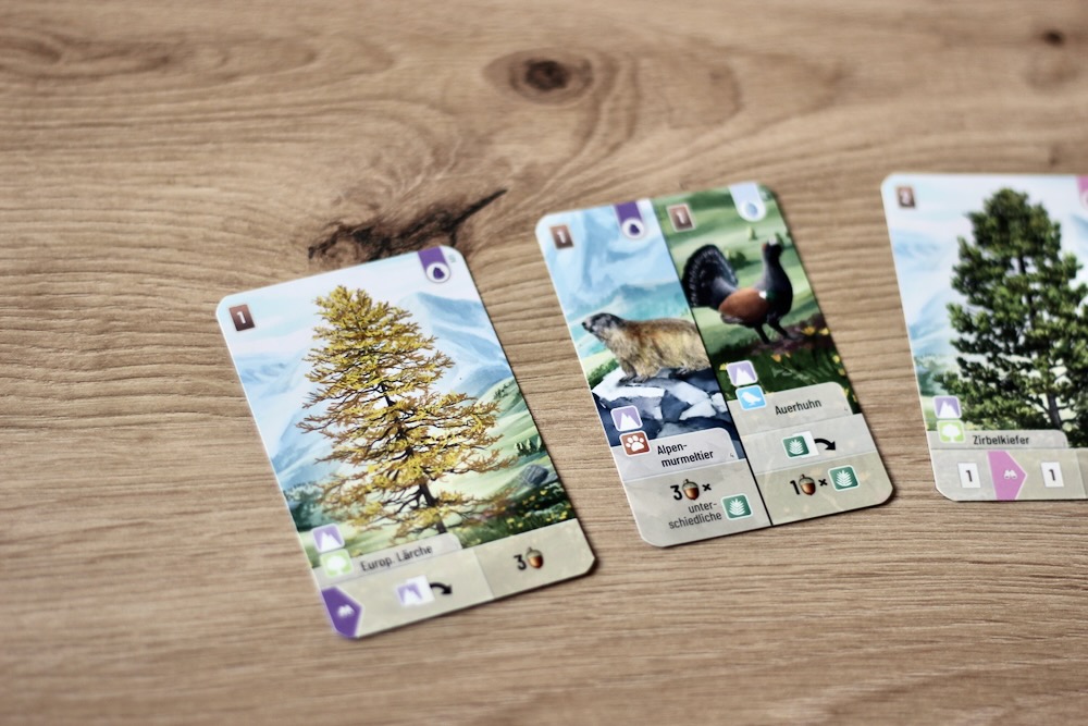 Forest Shuffle: Alpine - KuPlay Board Game Online Store