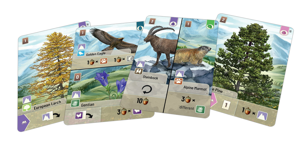 Forest Shuffle: Alpine - KuPlay Board Game Online Store